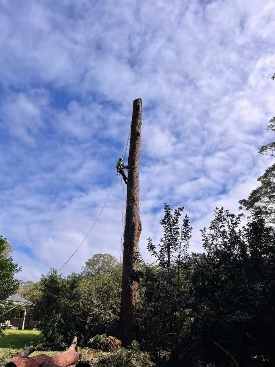 TK Tree Services Pty Ltd