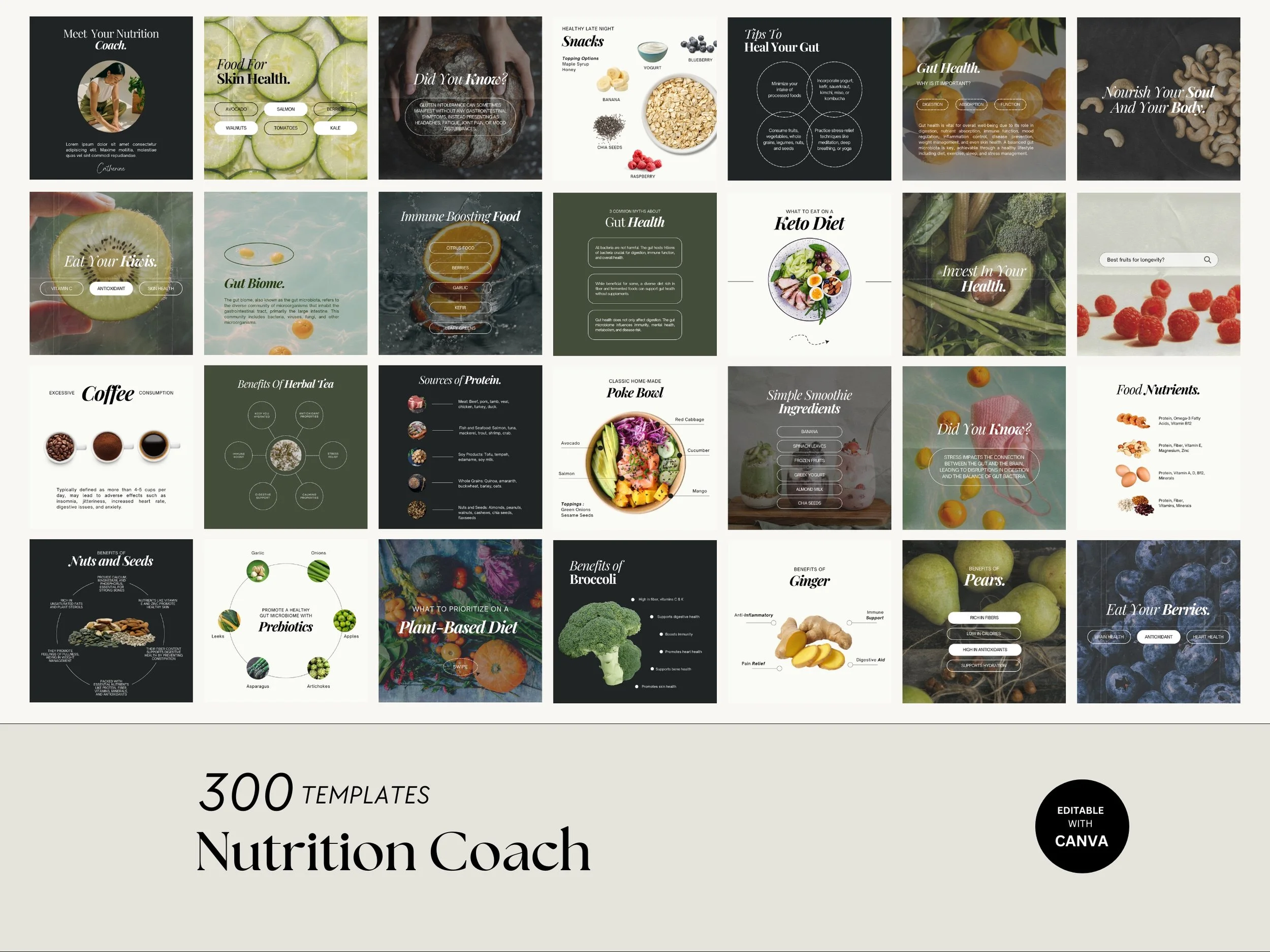 Nutrition Bundle Template — Terraa Studio Design