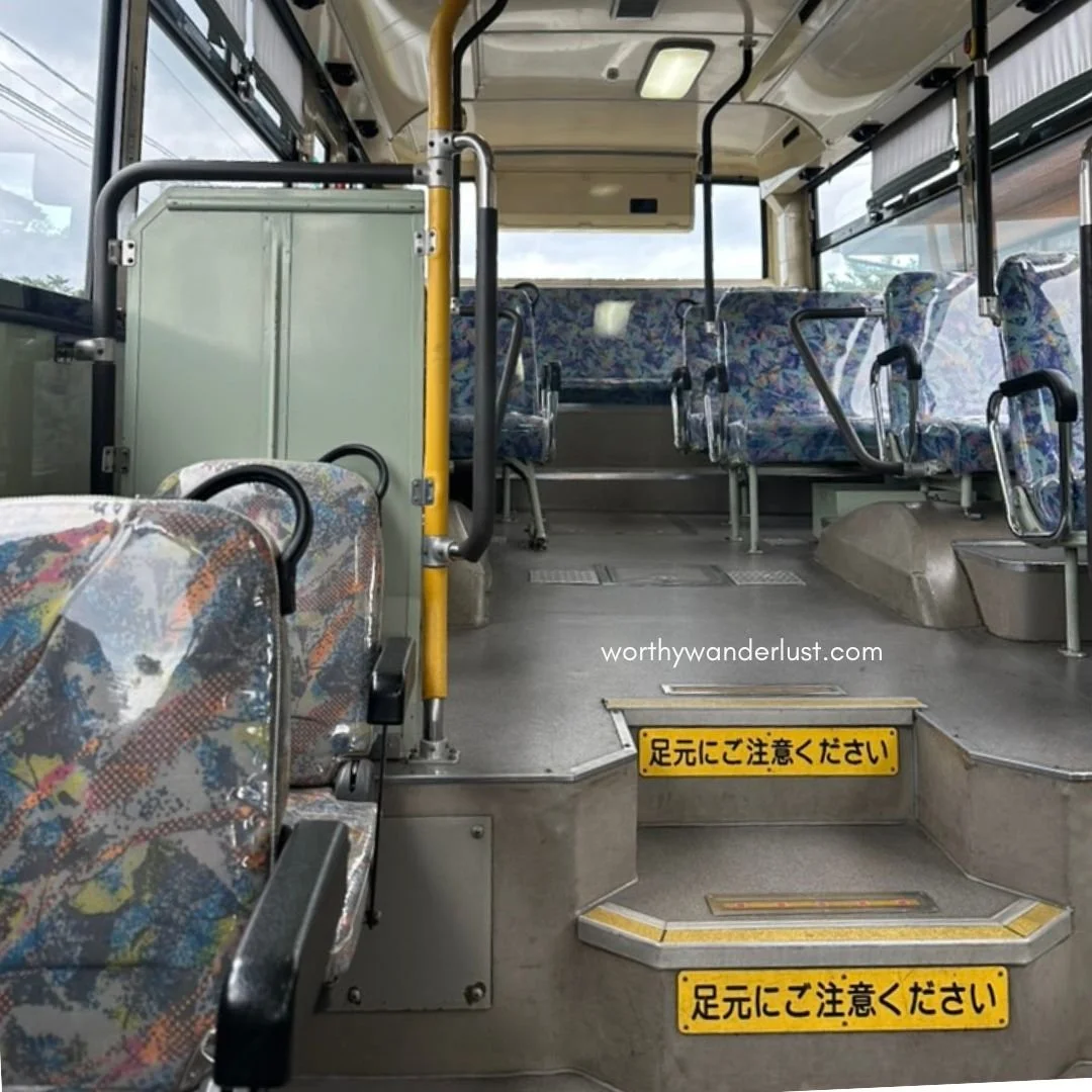 Jomon Sugi Hike Guide 2025: Practical Tips + My Unfiltered Experience ...