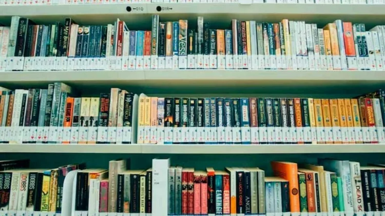 What Is Vellum: Its History, Benefits, Uses, And Tips — Leaders Brands