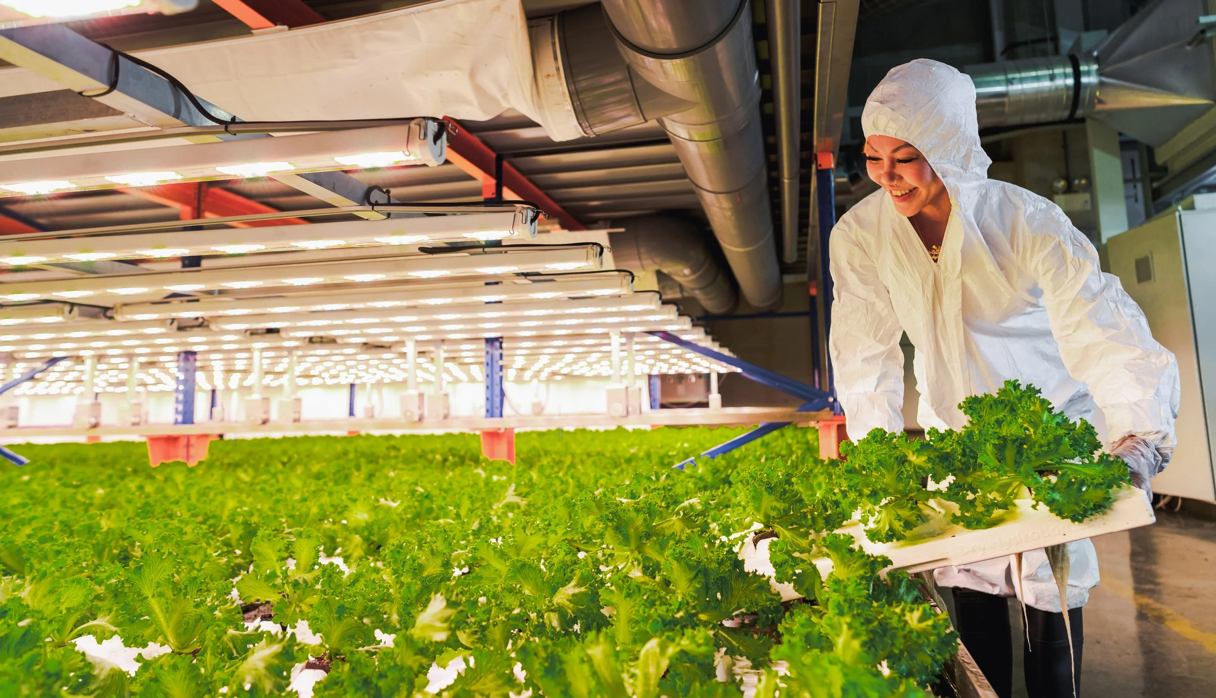 GroGrace: Eat Fresh, Live Well