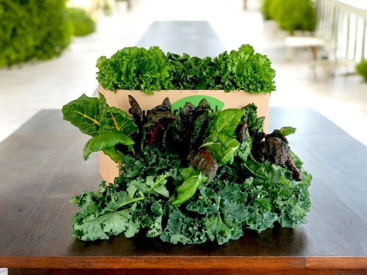 Store 1 — GroGrace: Eat Fresh, Live Well