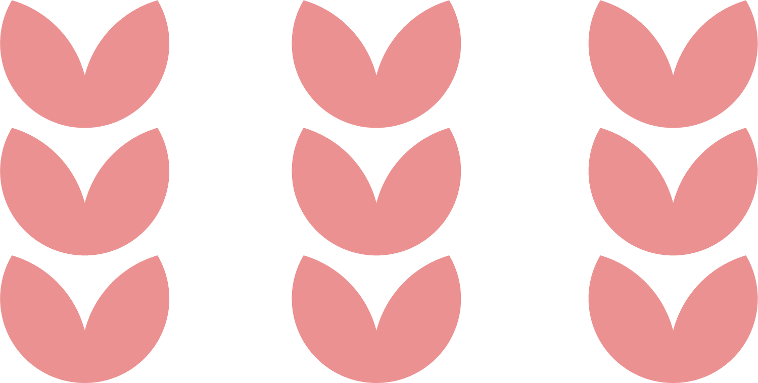 Who we are — GroGrace: Eat Fresh, Live Well