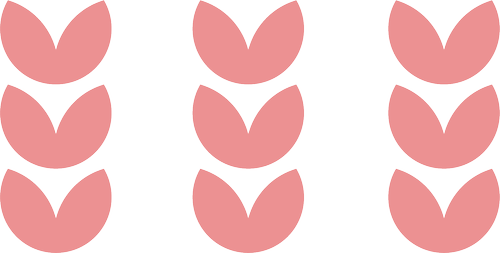 Who we are — GroGrace: Eat Fresh, Live Well