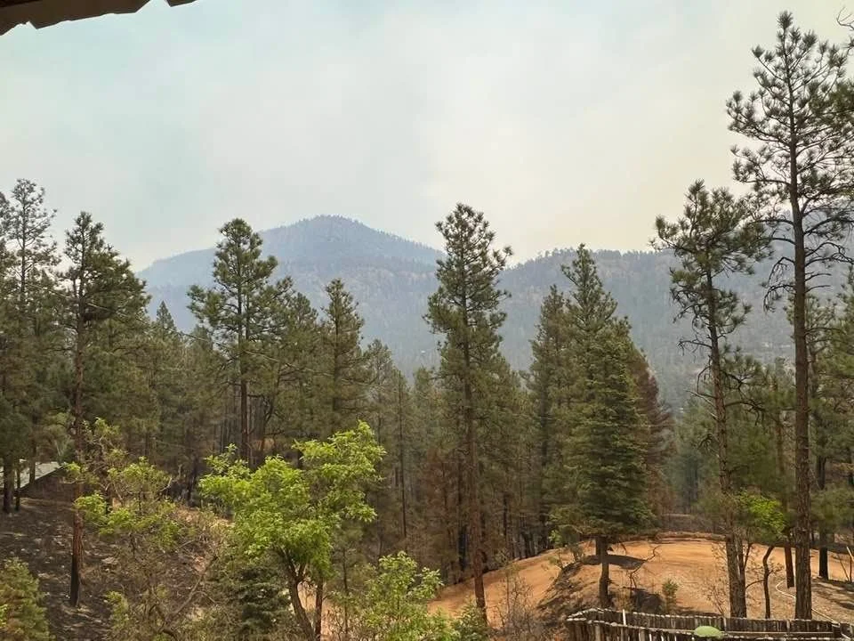 Christmas Tree Canyon, Road Association