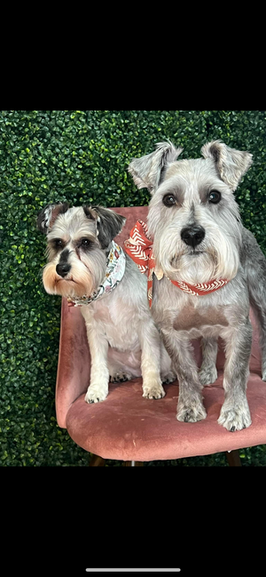 Fluff & Buff Grooming Studio