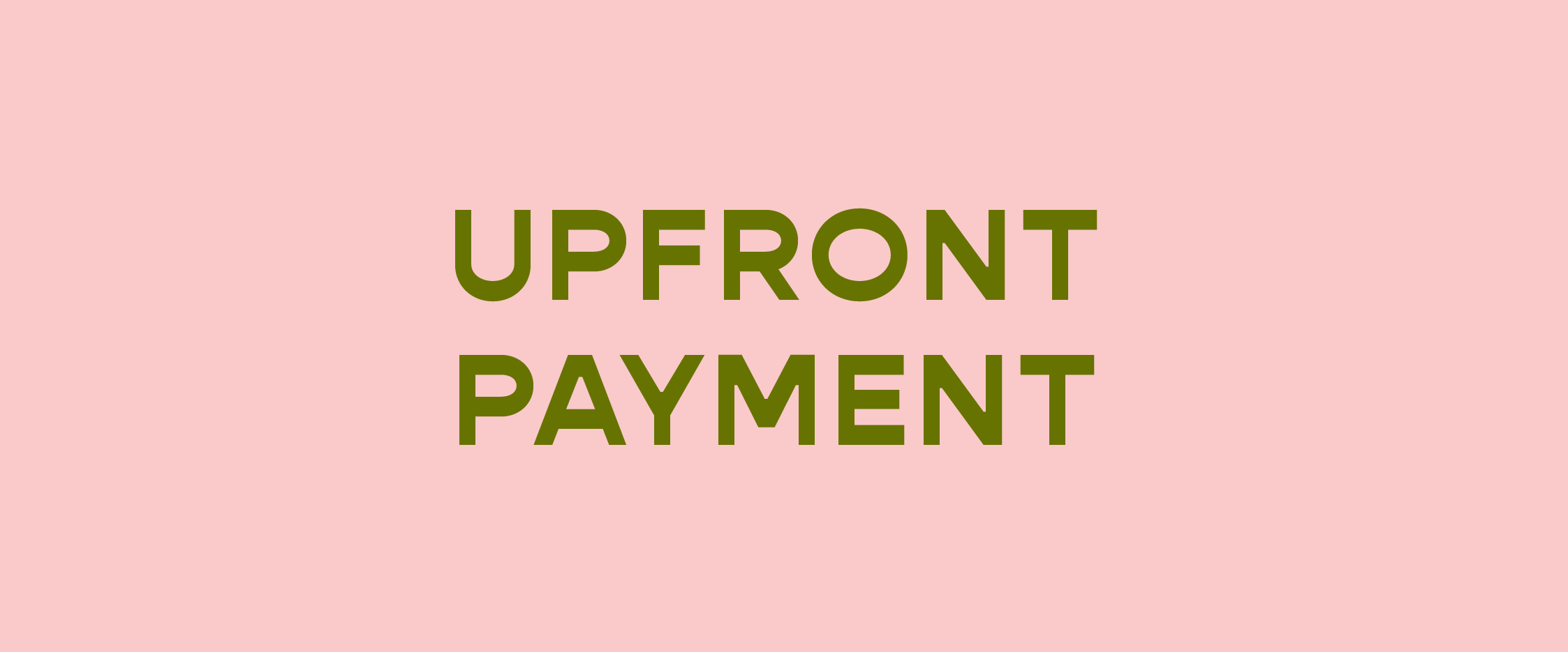 Payment Options Secret Artists Business