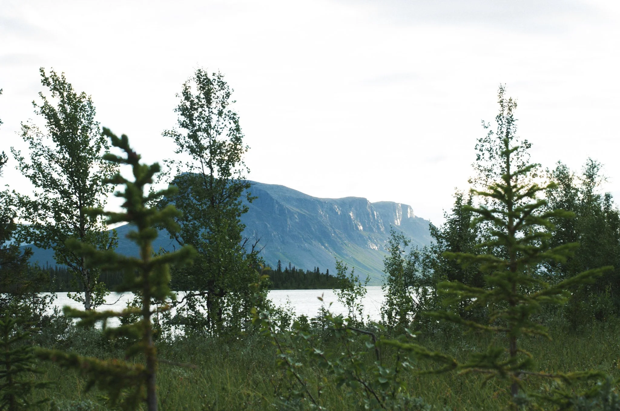 Hiking Skierfe: How to Reach Sarek National Park’s Most Iconic ...