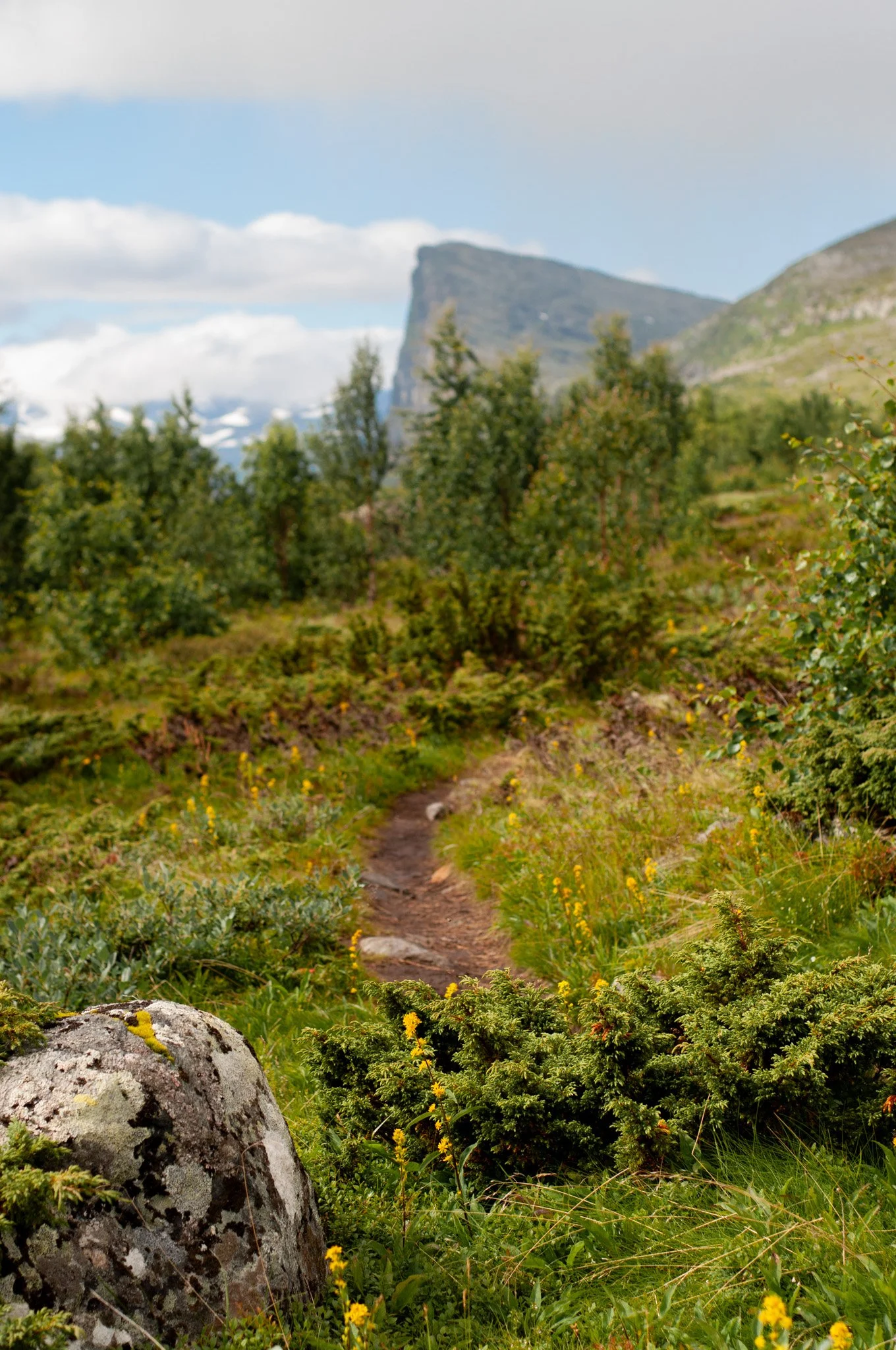 Hiking Skierfe: How to Reach Sarek National Park’s Most Iconic ...