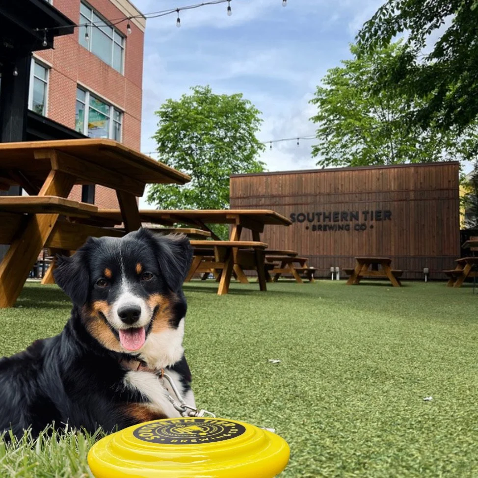 Southern Tier Pittsburgh