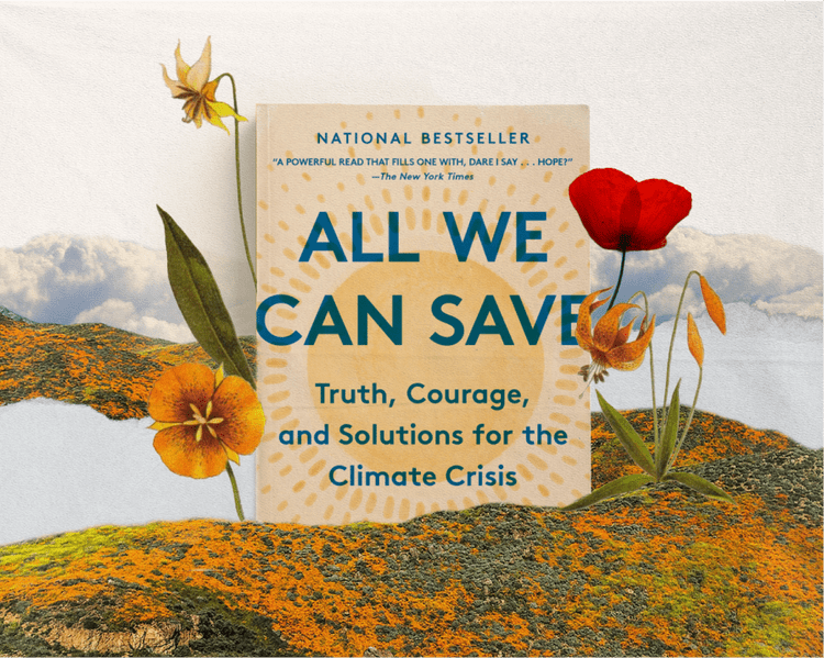 The All We Can Save Project