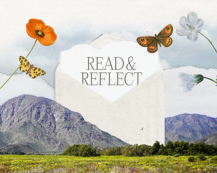 Read & Reflect — The All We Can Save Project