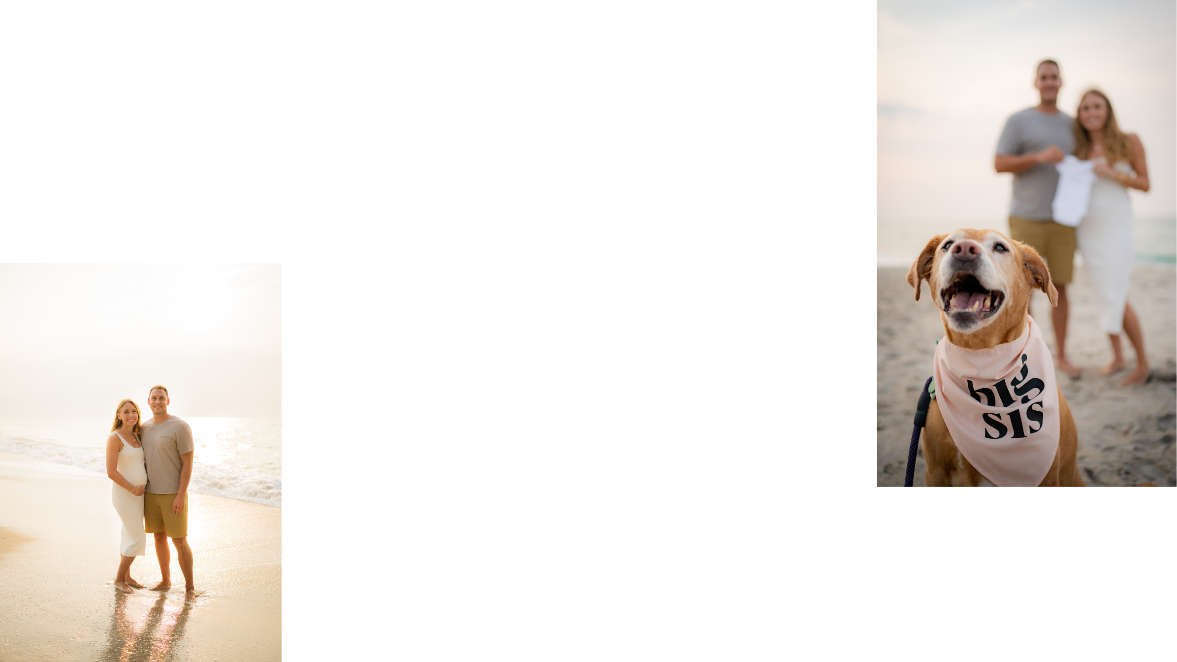 Caroline Donovan Photography