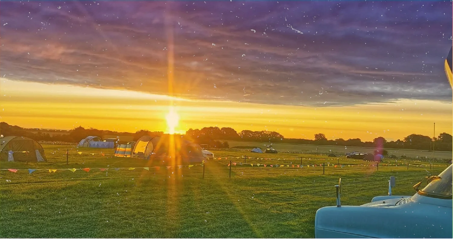 The Music Baa | Where Live Music Roams Free