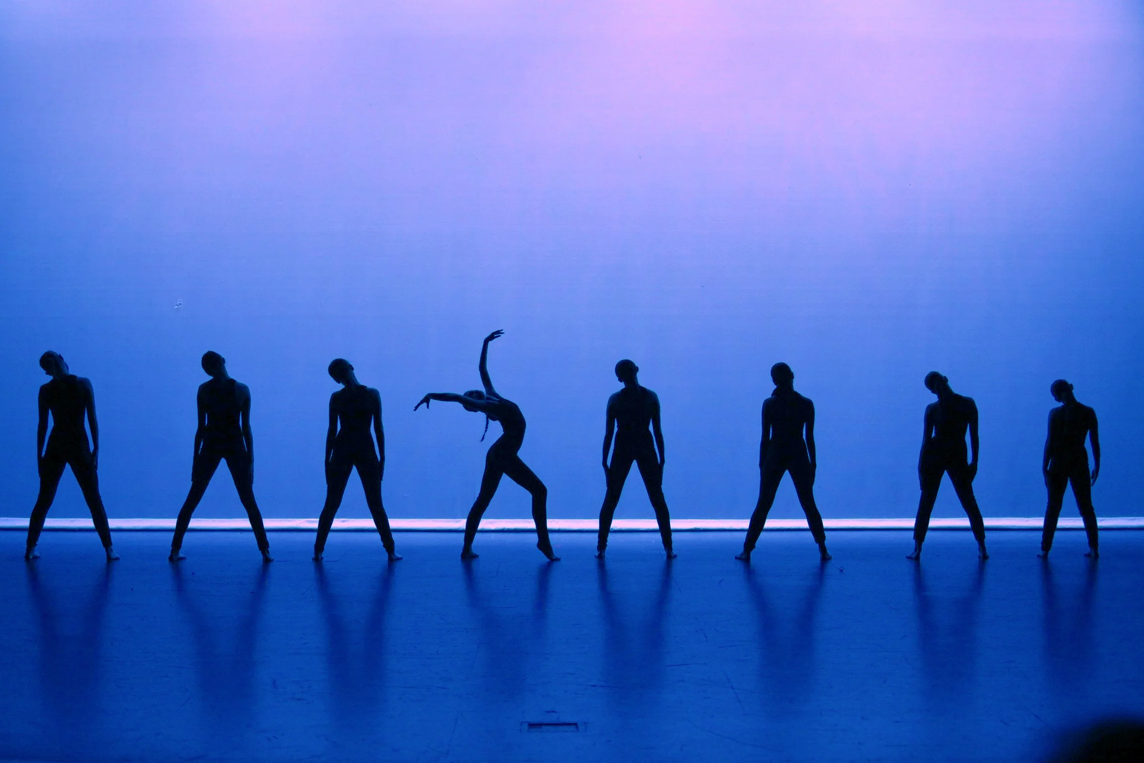 About — Cultivate Dance Project
