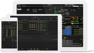 Prime Brokerage — Gar Wood Securities