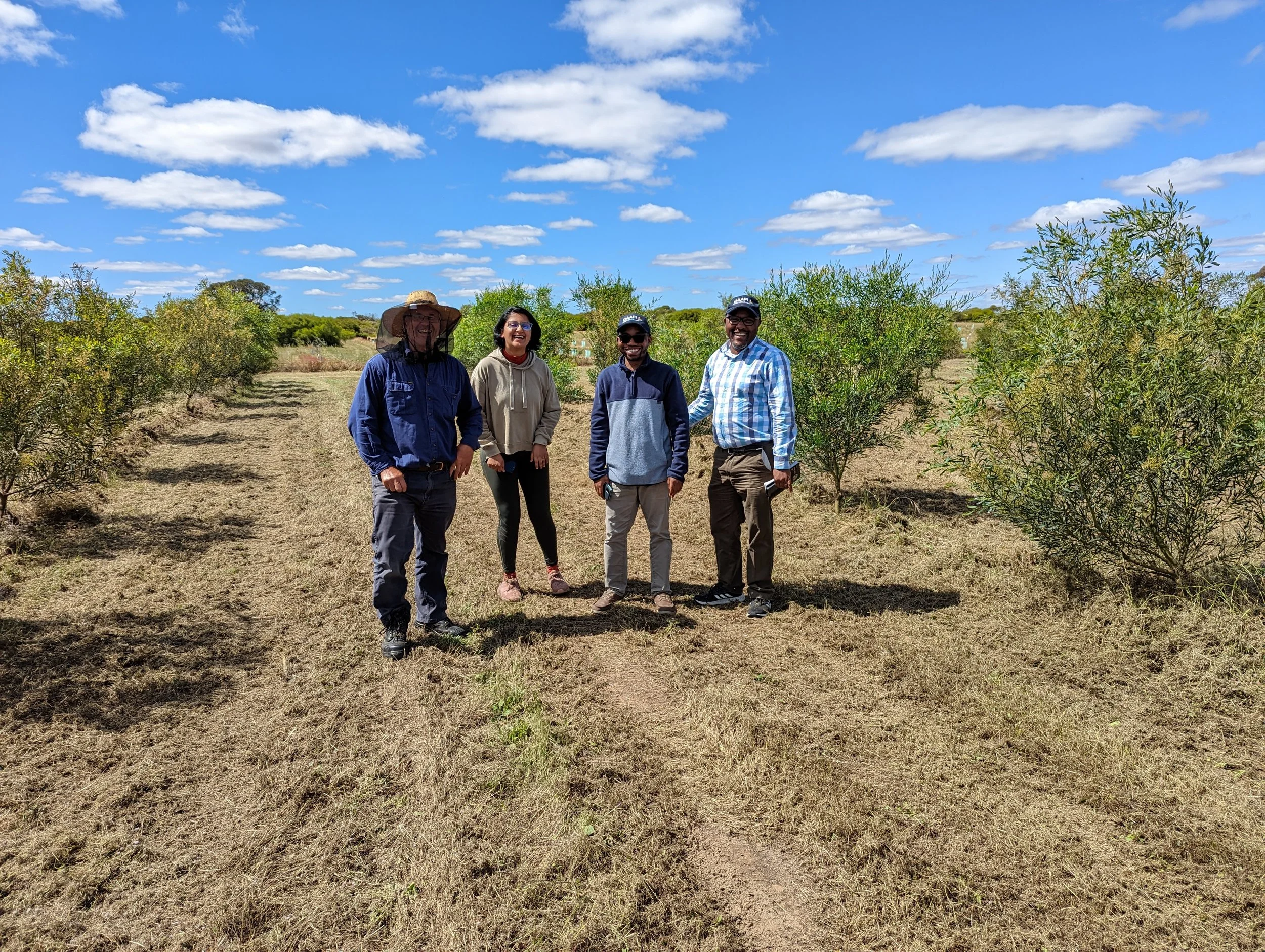 Wattle Seed — Ni Ni Well