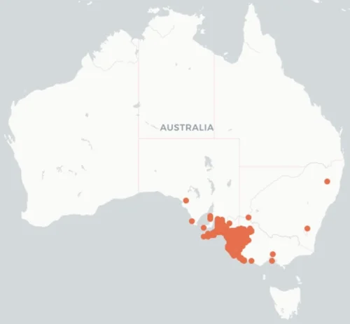 Muntries — Ni Ni Well