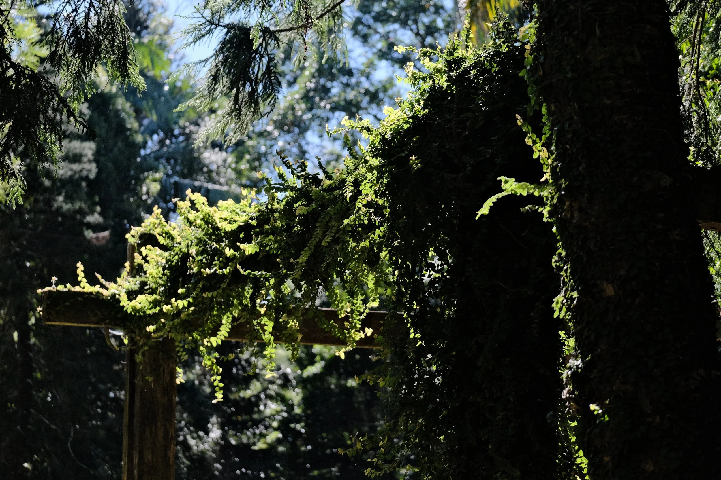 Wedding Venue Mount Glorious - ELM HOUSE