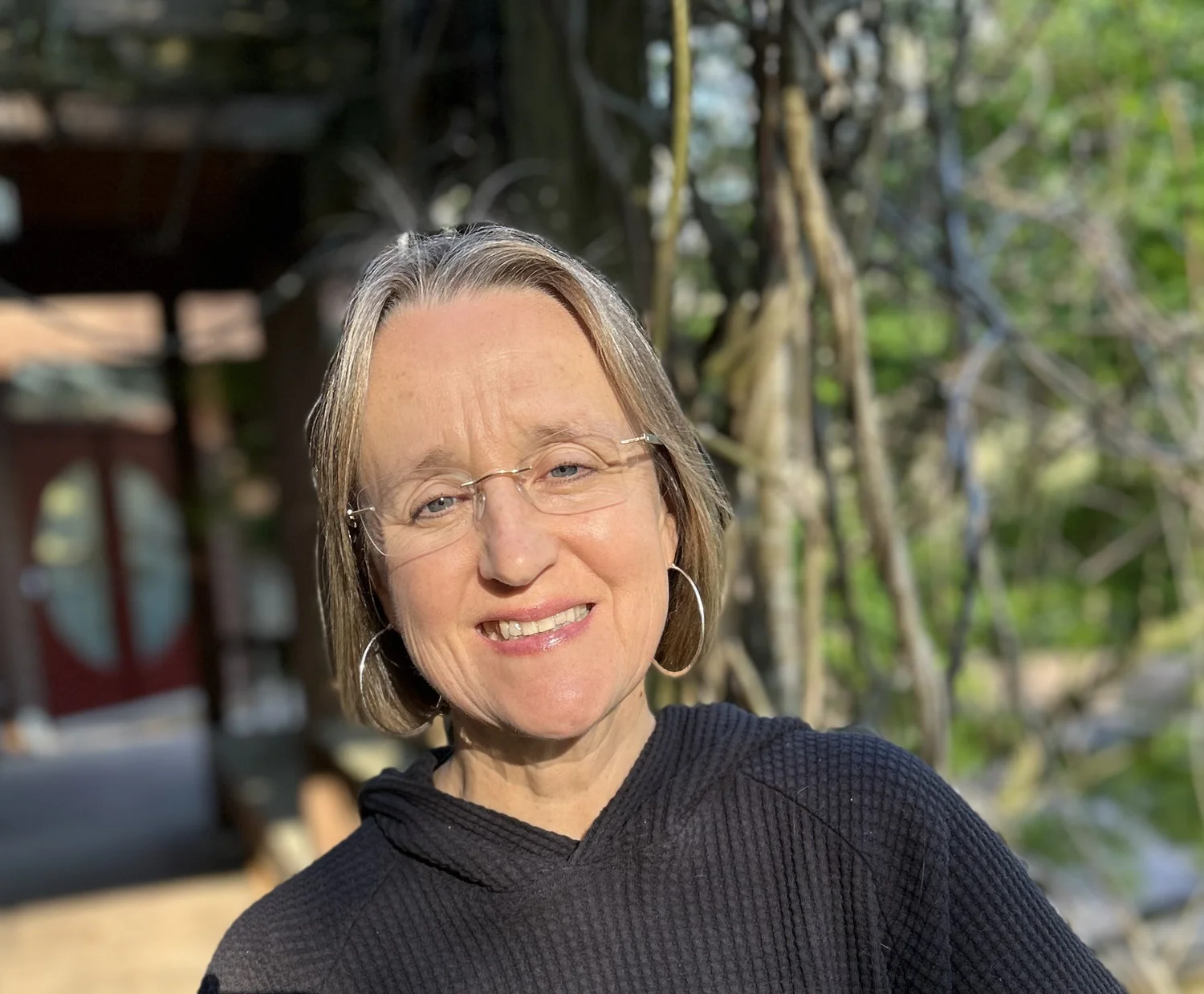 School Governance — Emerson Waldorf School