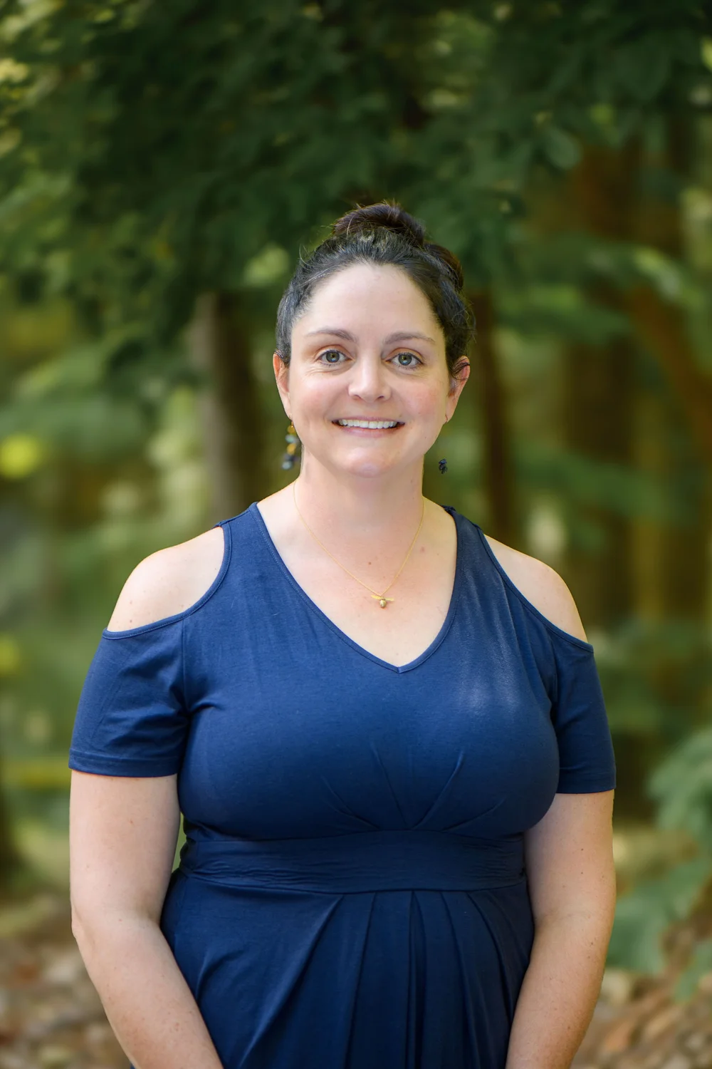 School Governance — Emerson Waldorf School