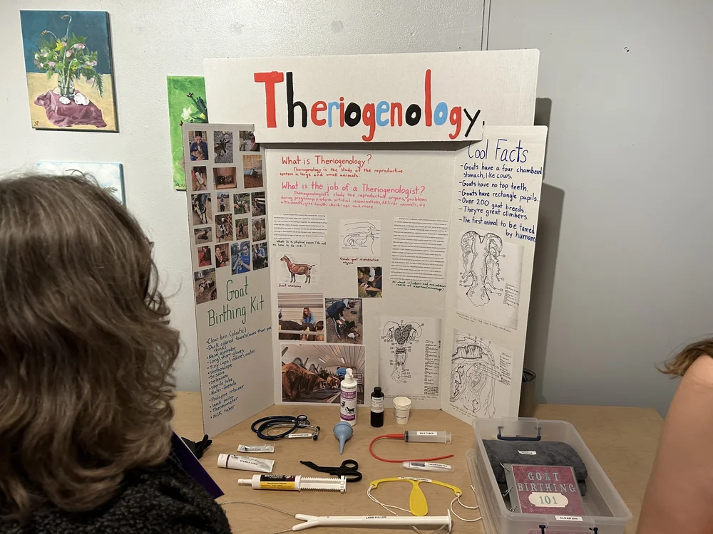 8th Grade Curriculum — Emerson Waldorf School