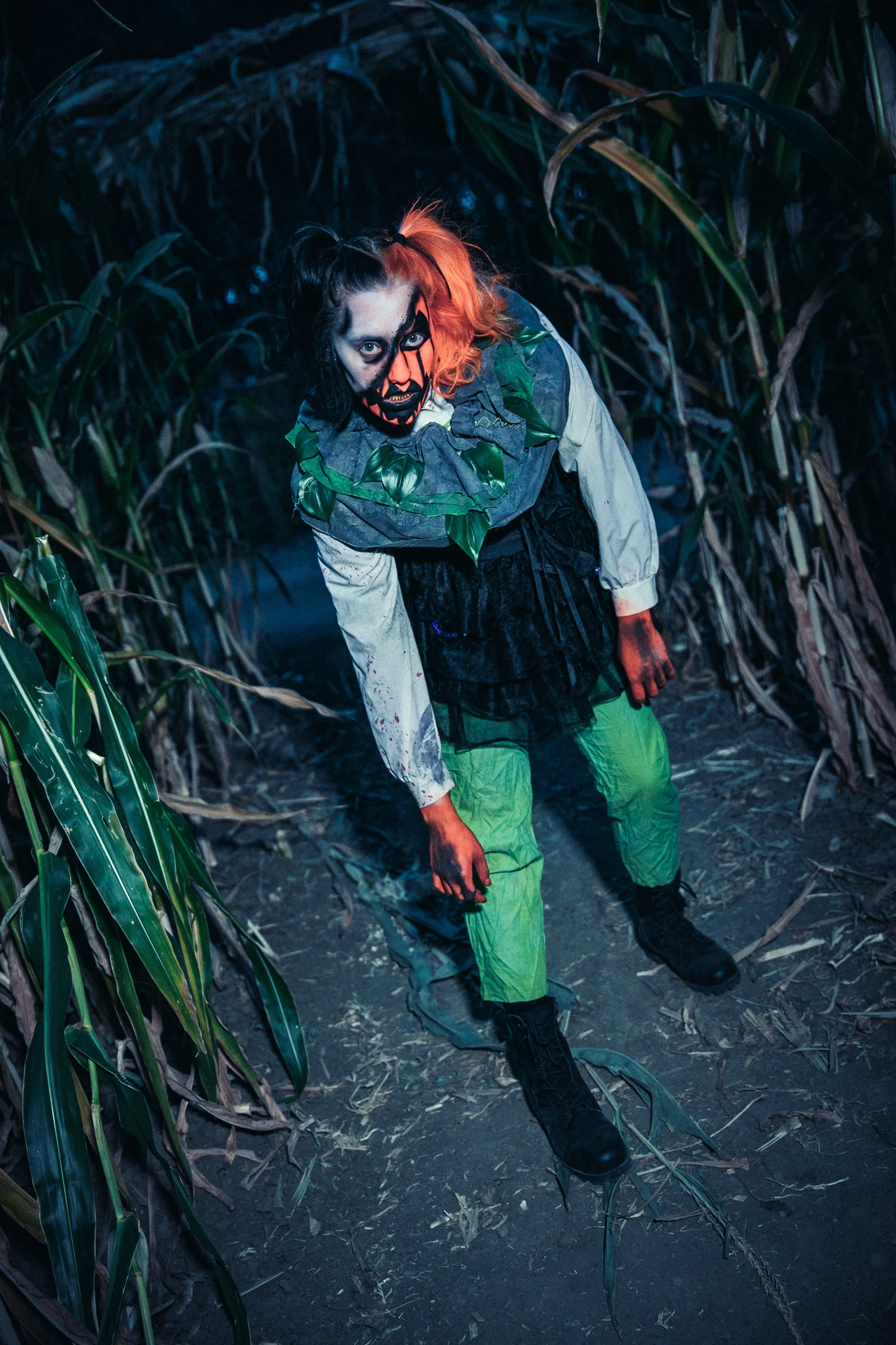 Haunted Field of Screams