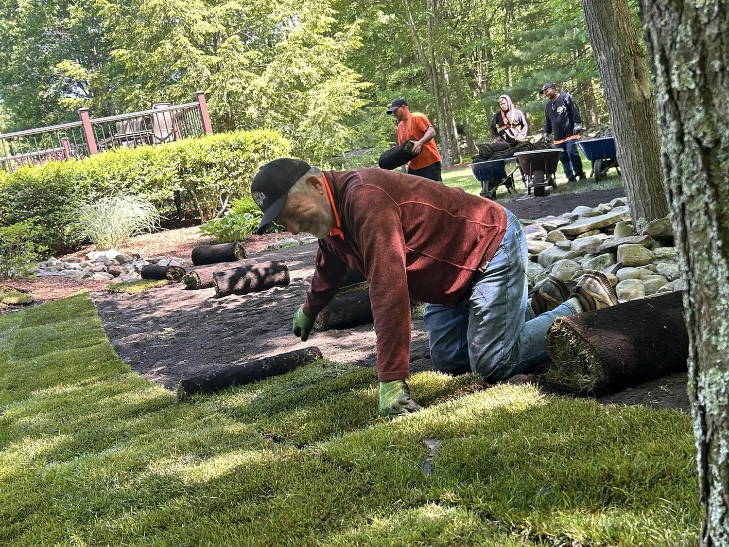 Vito's Lawn Care & Landscaping | Transform Your Landscape Today