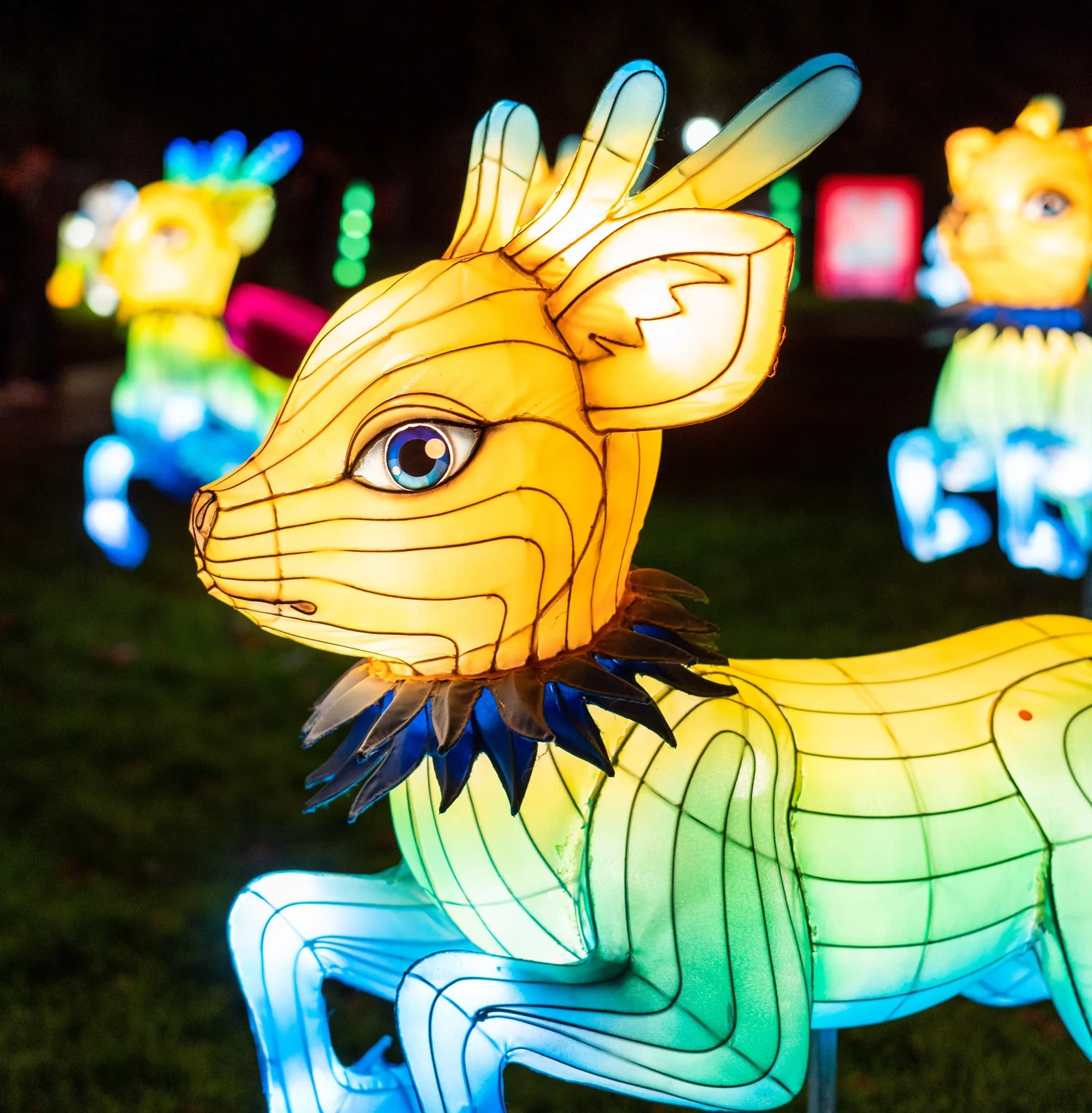 Autumn Glow Festival