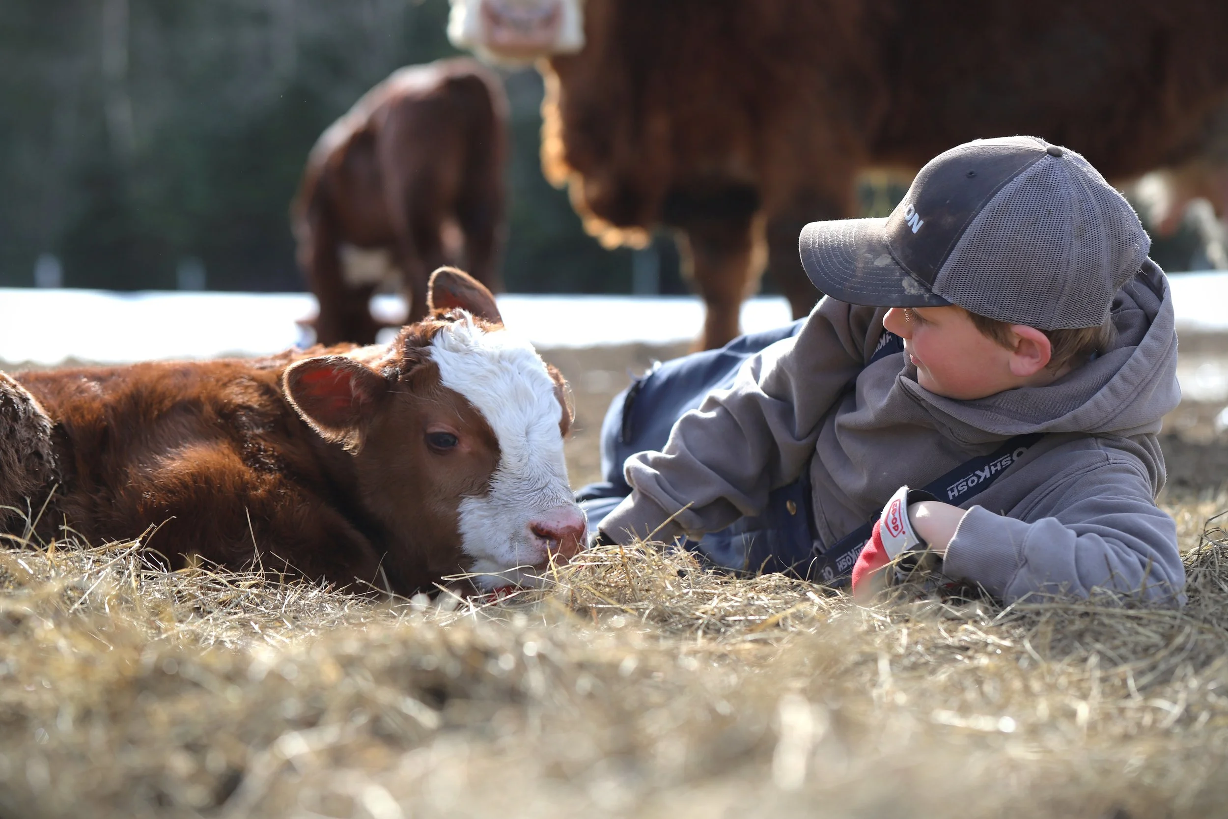 4-H British Columbia