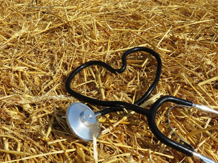 Veterinary Science — 4-H British Columbia