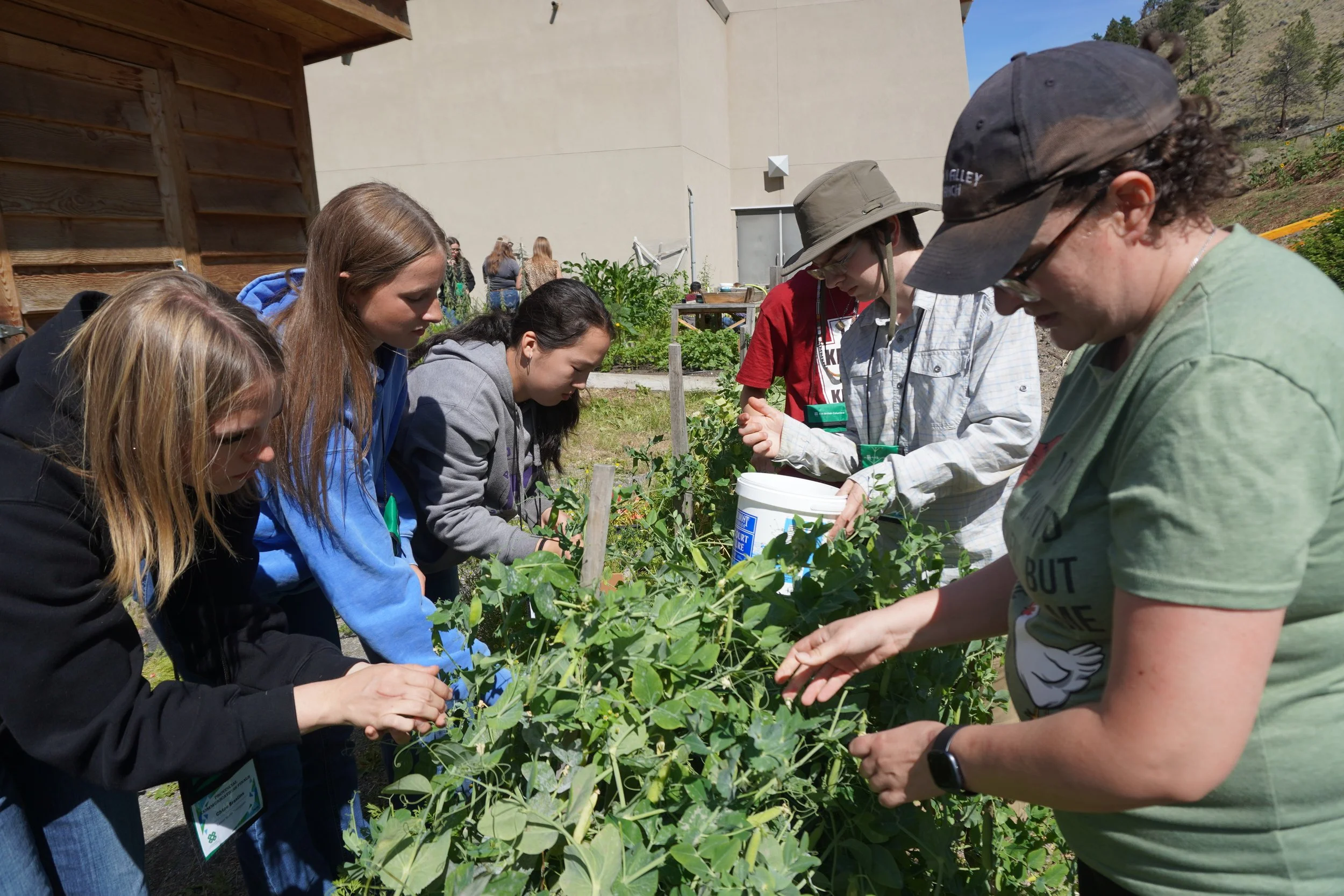Volunteer — 4-H British Columbia