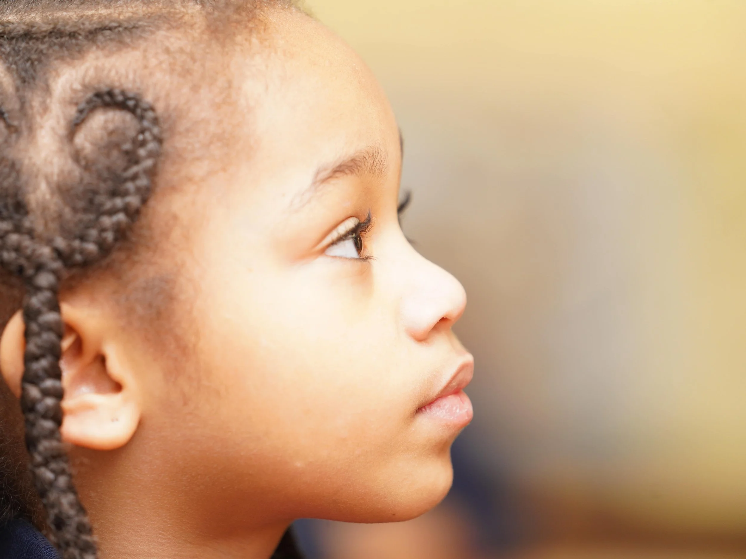 IHDF Team — IHDF MKE