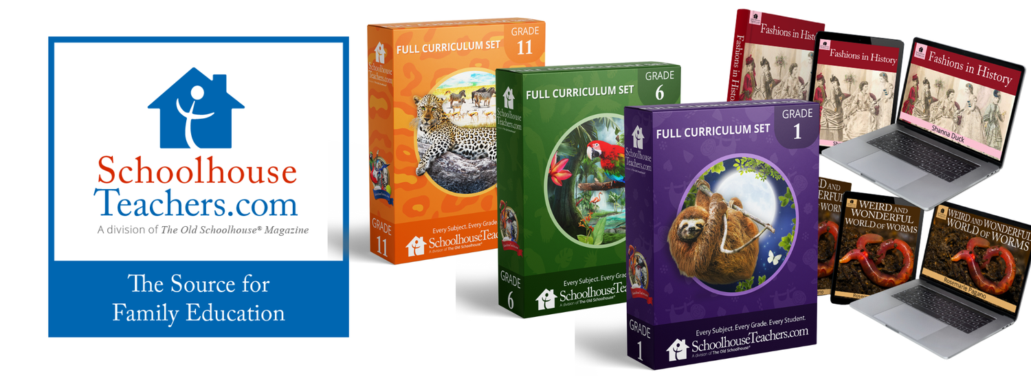 10 Top Pre-K Preschool Homeschool Curriculum Programs — Homeschool ...