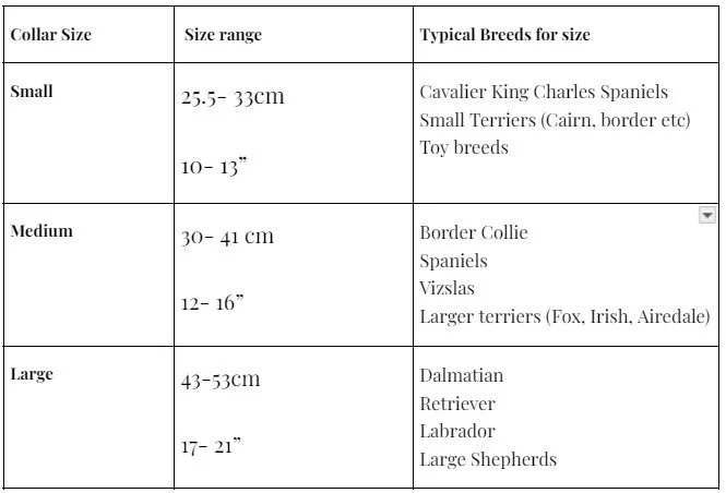 Find the Perfect Fit – Leather Dog Collar Size Guide — Rogues & Royals