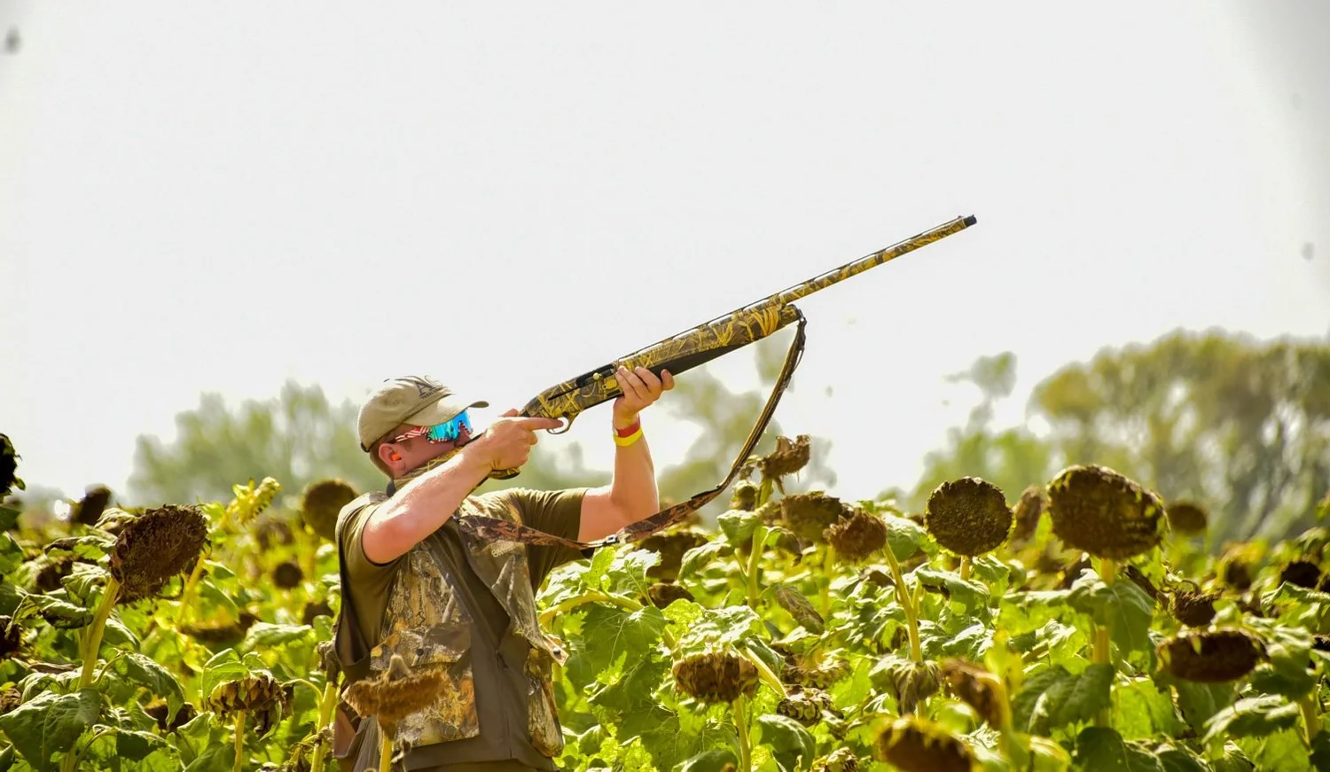 Mac's Dove Hunts