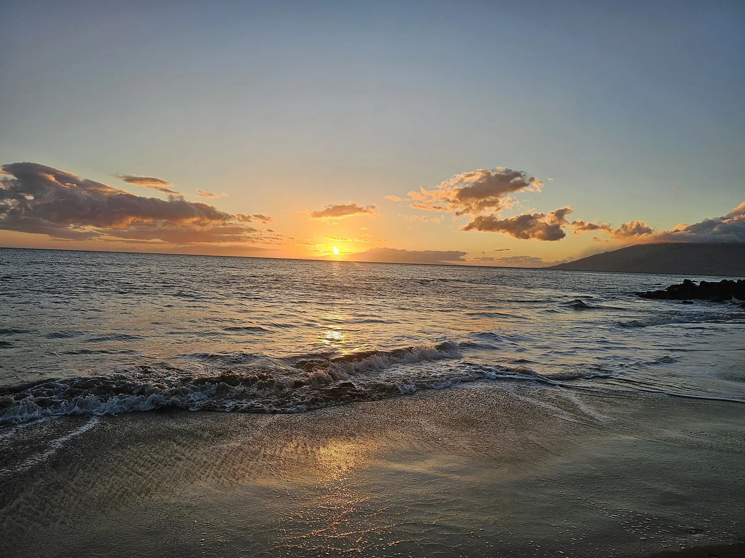 Holistic Grief Wellness