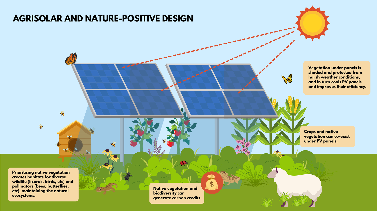 Agrisolar CRC — Agrisolar CRC