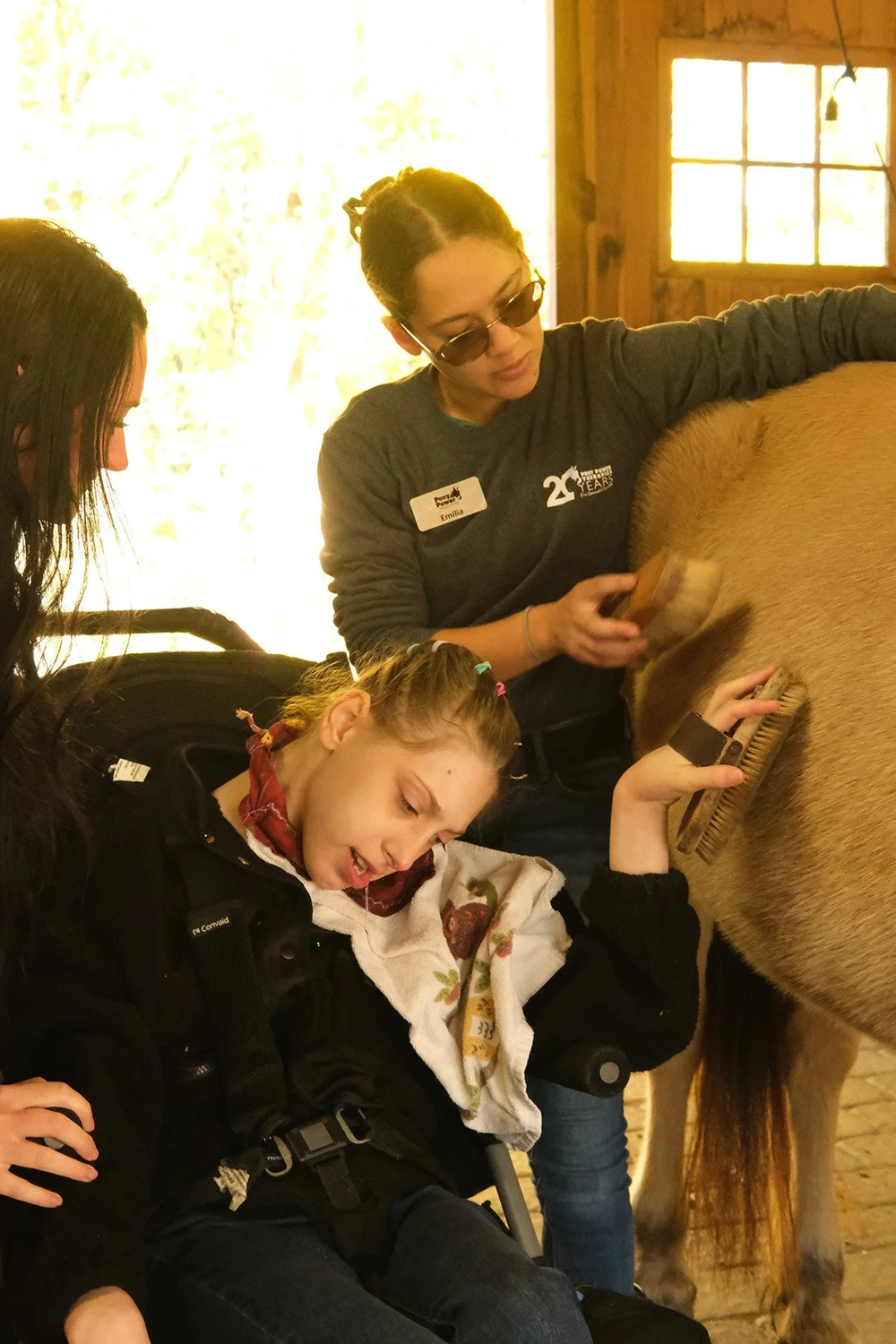 Pony Power Therapies