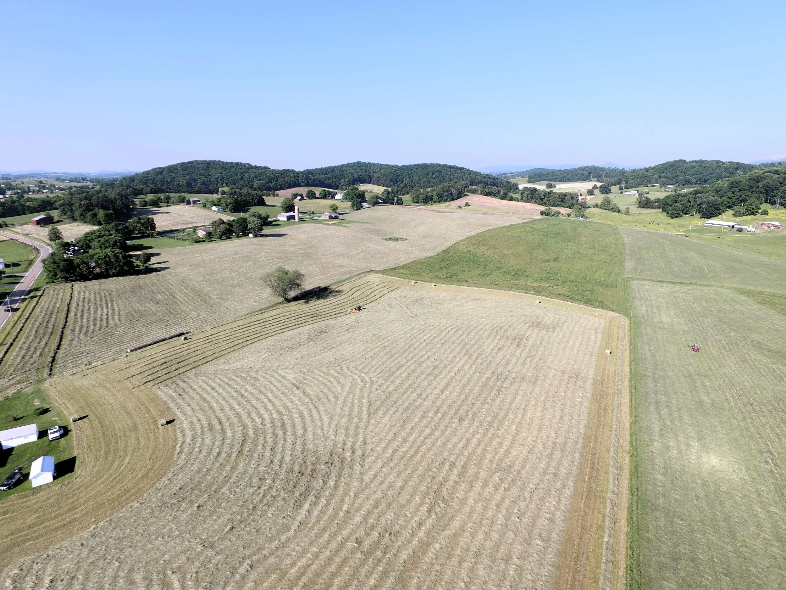 Jaynes Farms | Black Angus Beef | Cuts, Bulk, Bundles | Sustainable ...