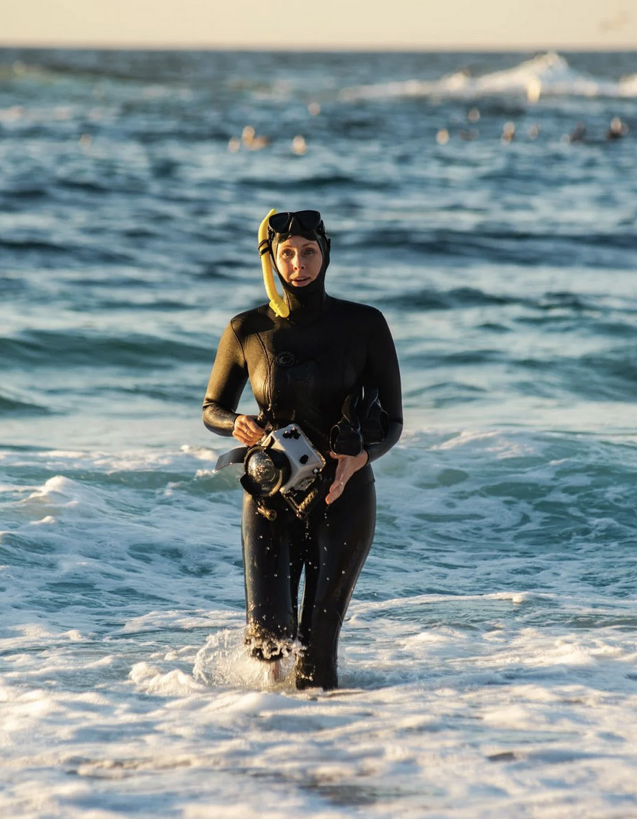 Blue Forest — Mendocino Art Center