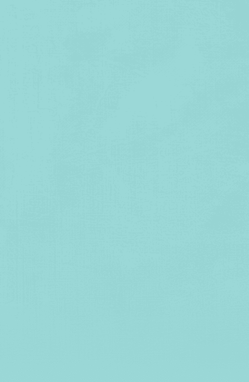 Big Game Block Party hosted by Hapa's Brewing Company — Creekside