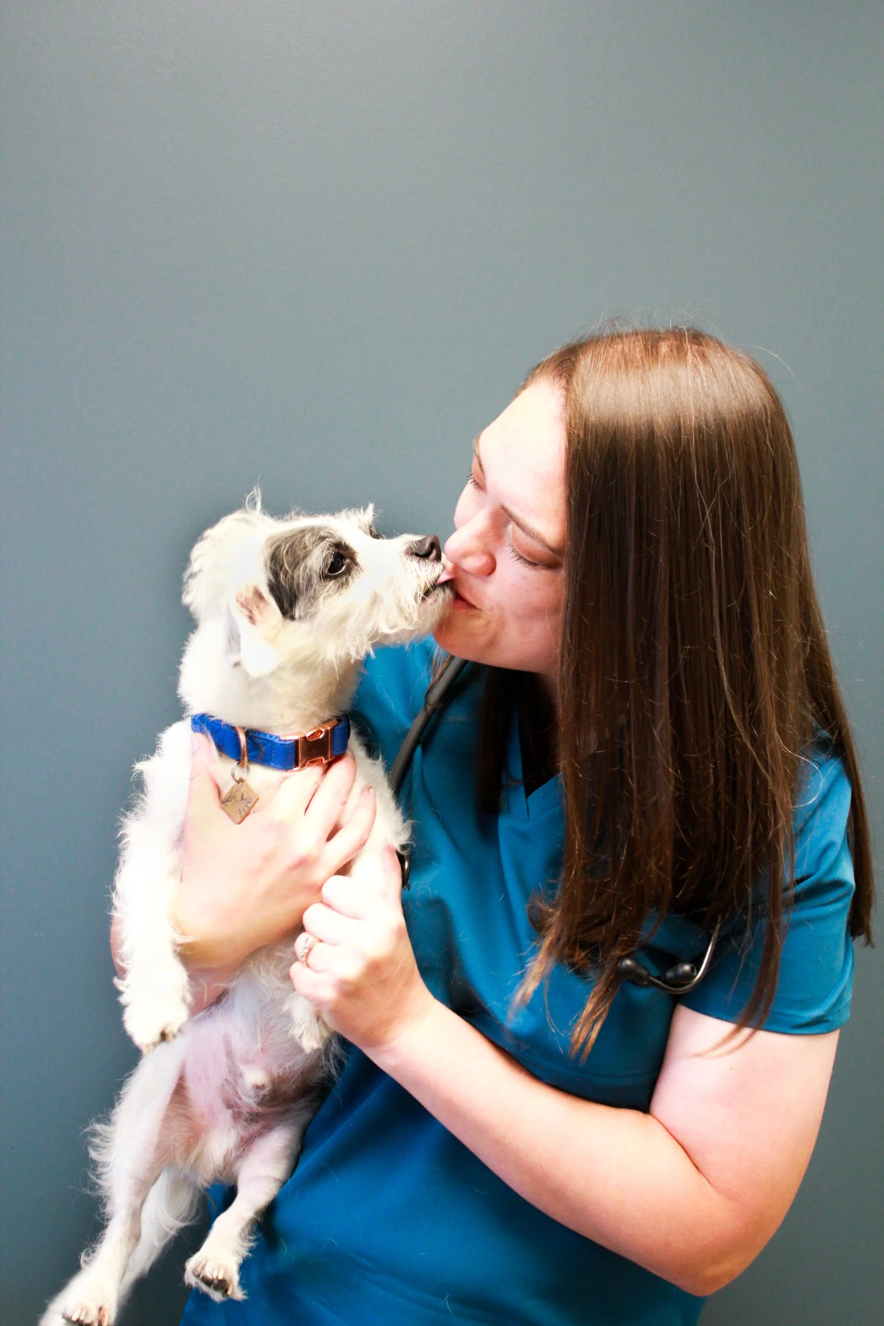 Mobile Veterinary Cancer Care