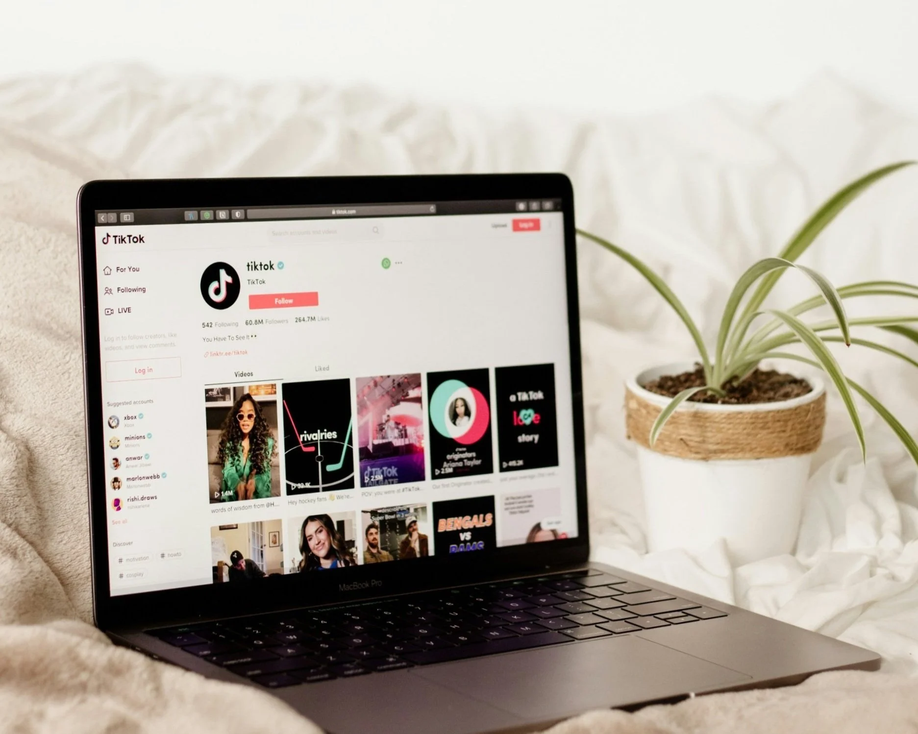 Gen Z and Pop Culture: The New Wave of Expression — Gen Z, Explained