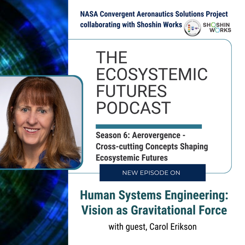 Human Systems Engineering: Vision as Gravitational Force — Shoshin Works