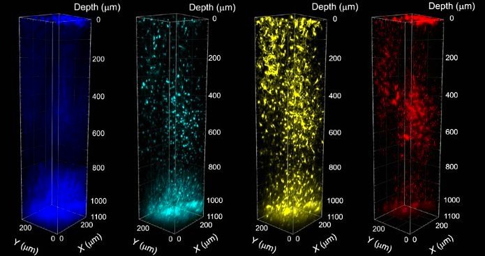 Research — Fei Xia Research Lab @ UC Irvine