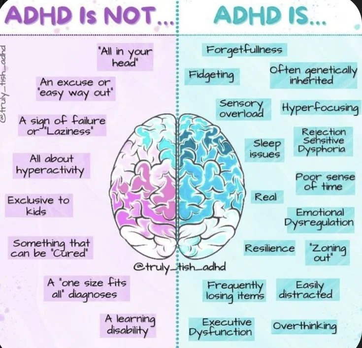 What ADHD Really Is (And What It’s Not): Understanding the Truth Behind ...