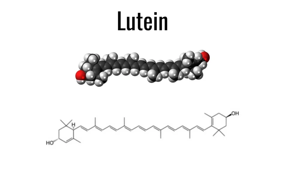 Does lutein help eye sight? Here are lutein's benefits for your sight ...