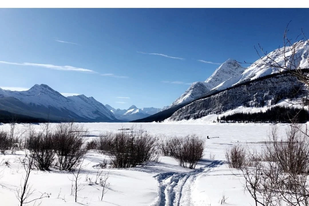 The Spray Lakes Mount Nestor Viewpoint — Mad Dogs & Englishmen