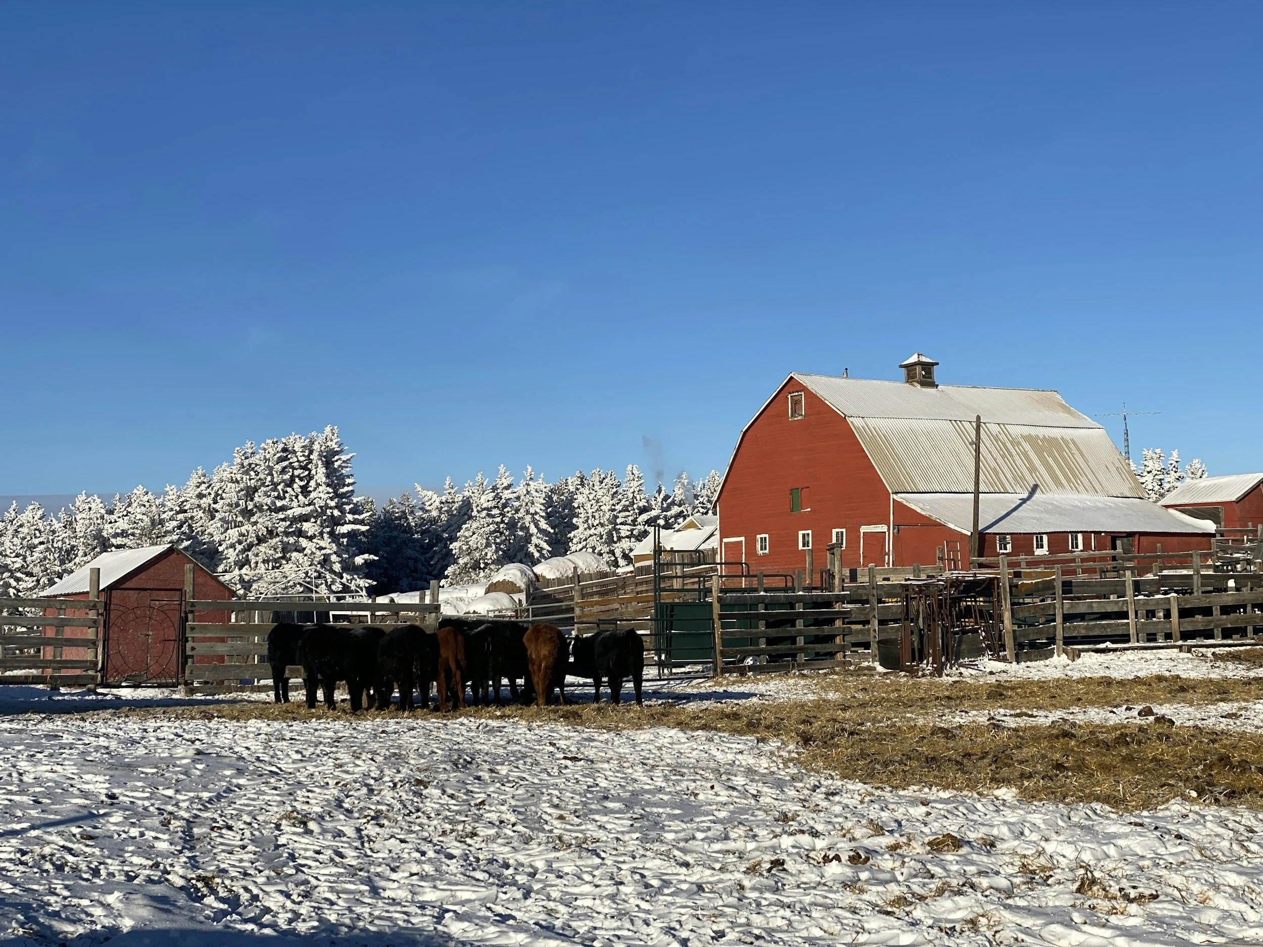 Winter Weather on the Farm: Plan Ahead and Slow It Down — Rockingham ...